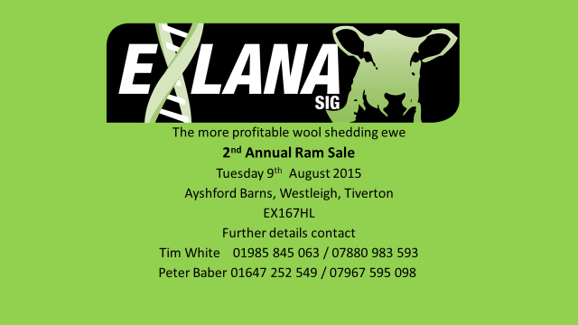 Exlana Ram sale and open day 9/8/16 | The Farming Forum
