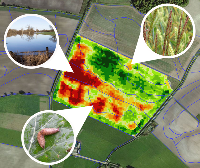 Free Satellite Image | The Farming Forum