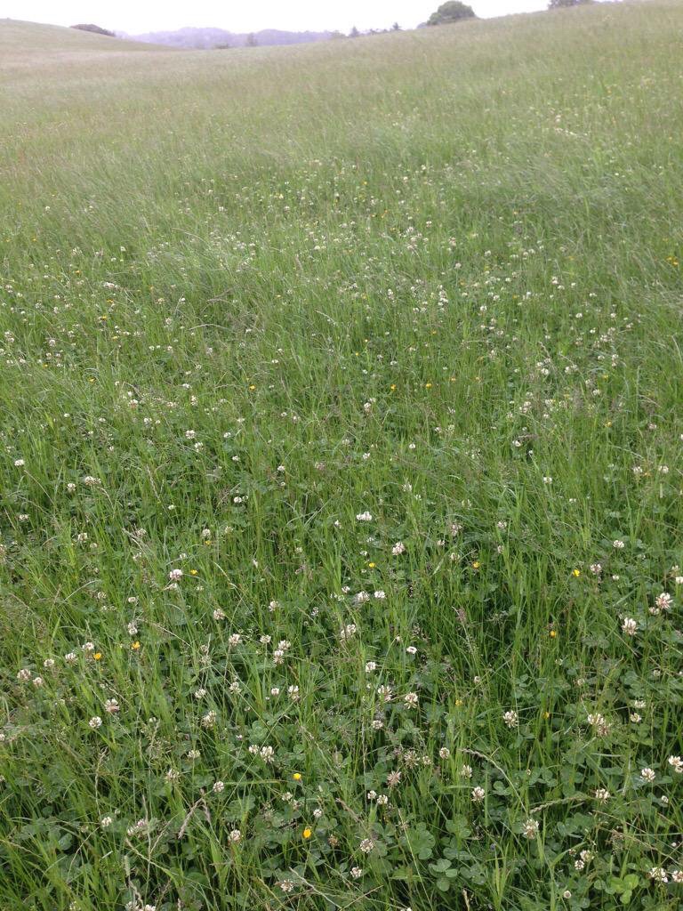 Direct drilling grass seed. | Page 2 | The Farming Forum