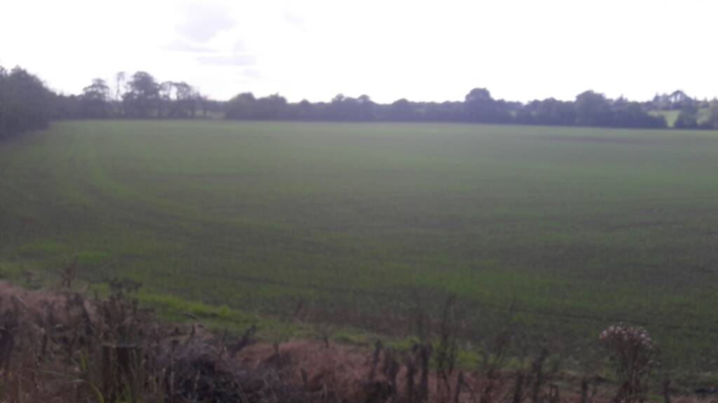 Direct drilling grass seed. | Page 2 | The Farming Forum