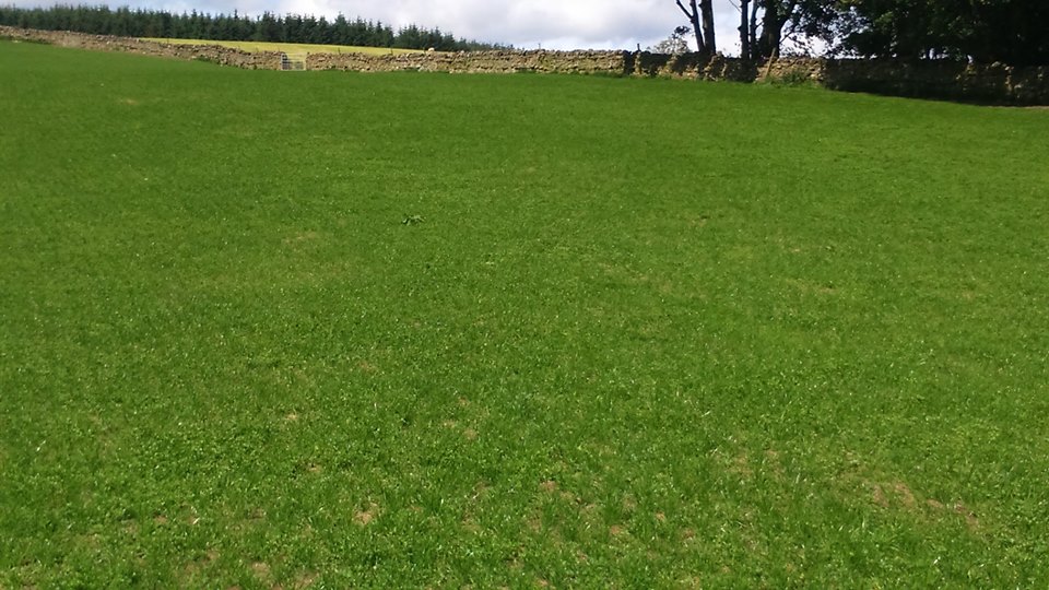 Direct drilling grass seed. | Page 2 | The Farming Forum