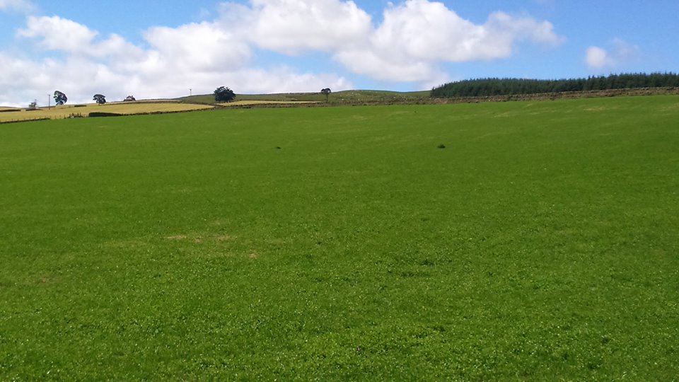Direct drilling grass seed. | Page 4 | The Farming Forum
