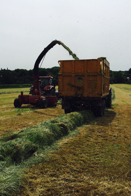 Trailed choppers | The Farming Forum