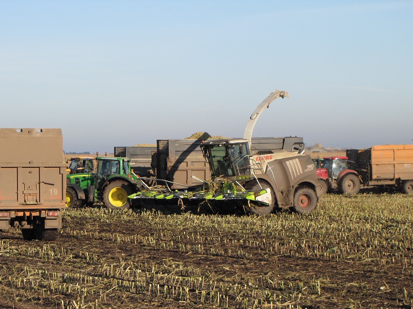 Mega maize harvest December 2013 | The Farming Forum