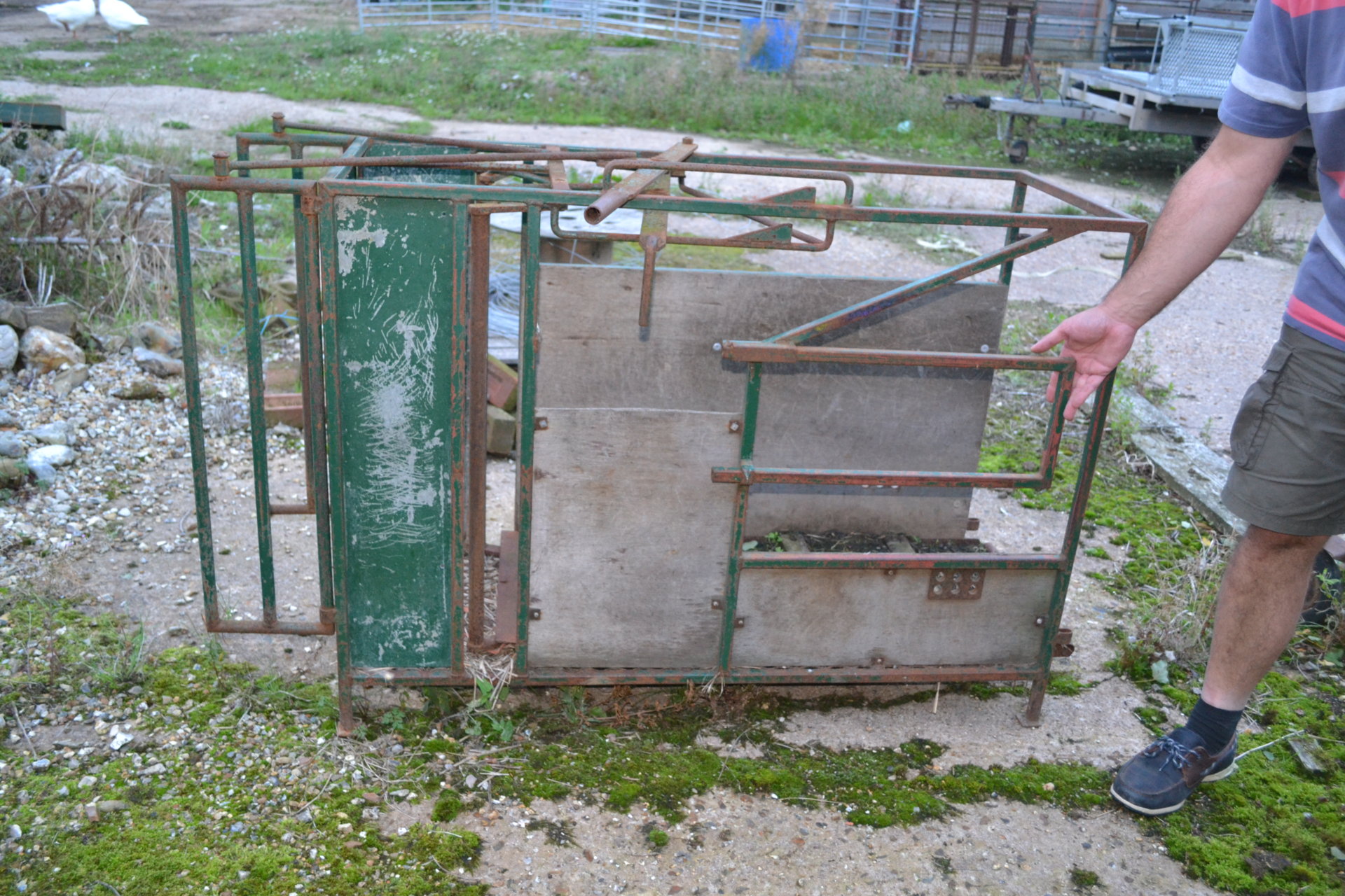 Sheep Dagging crate | The Farming Forum