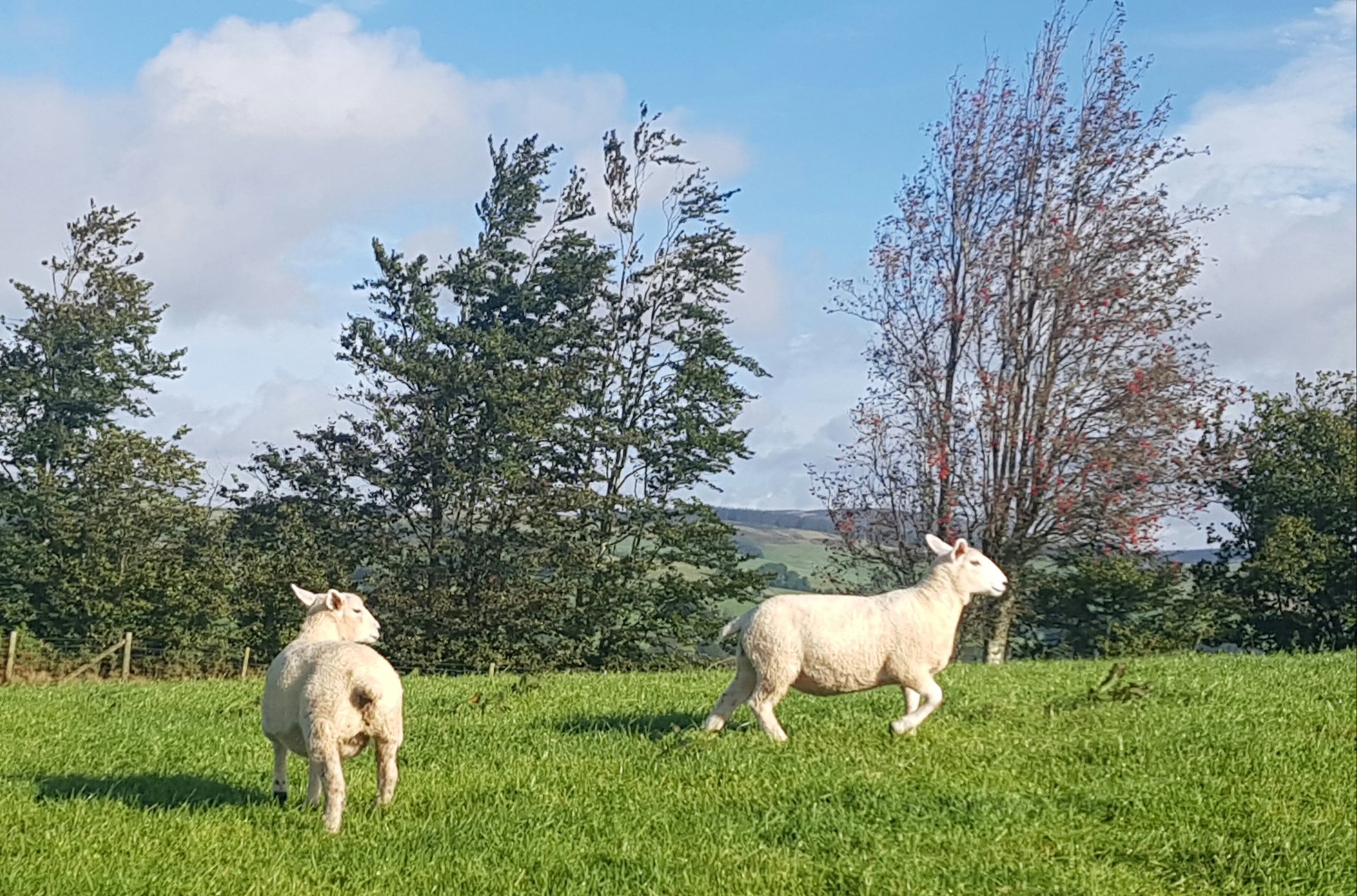 Pentre Farm | The Farming Forum
