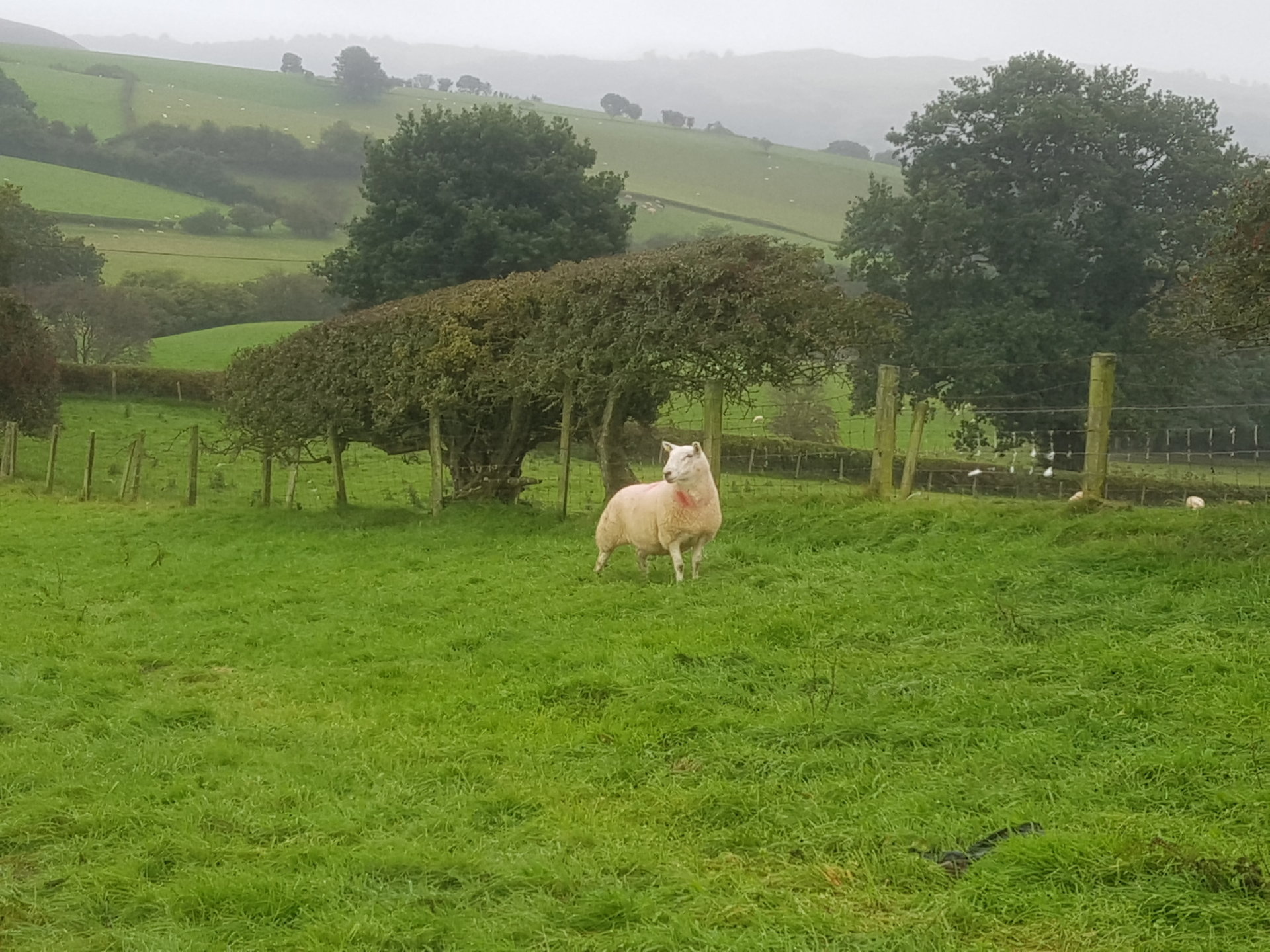 Pentre Farm | The Farming Forum