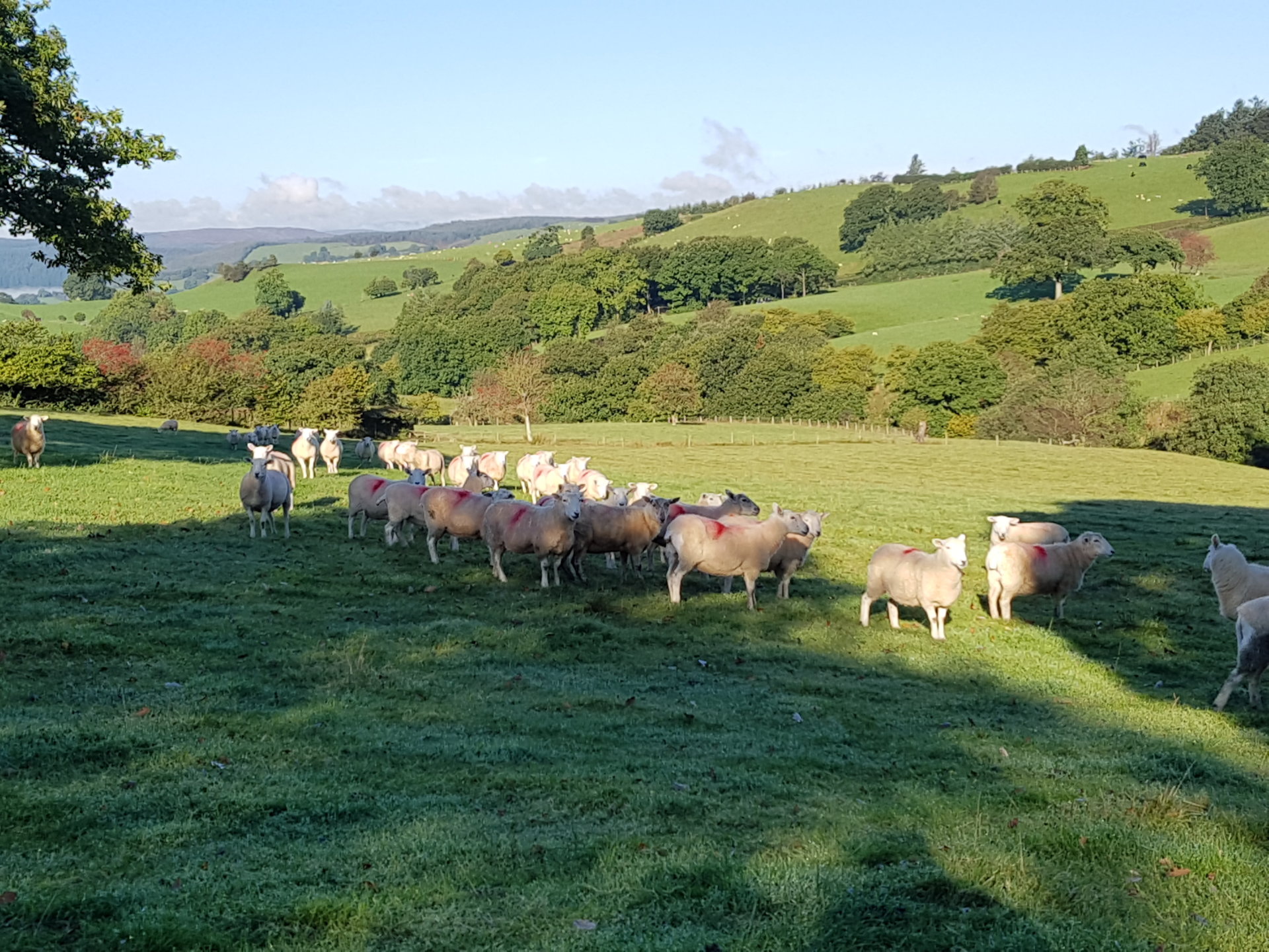 Pentre Farm | The Farming Forum