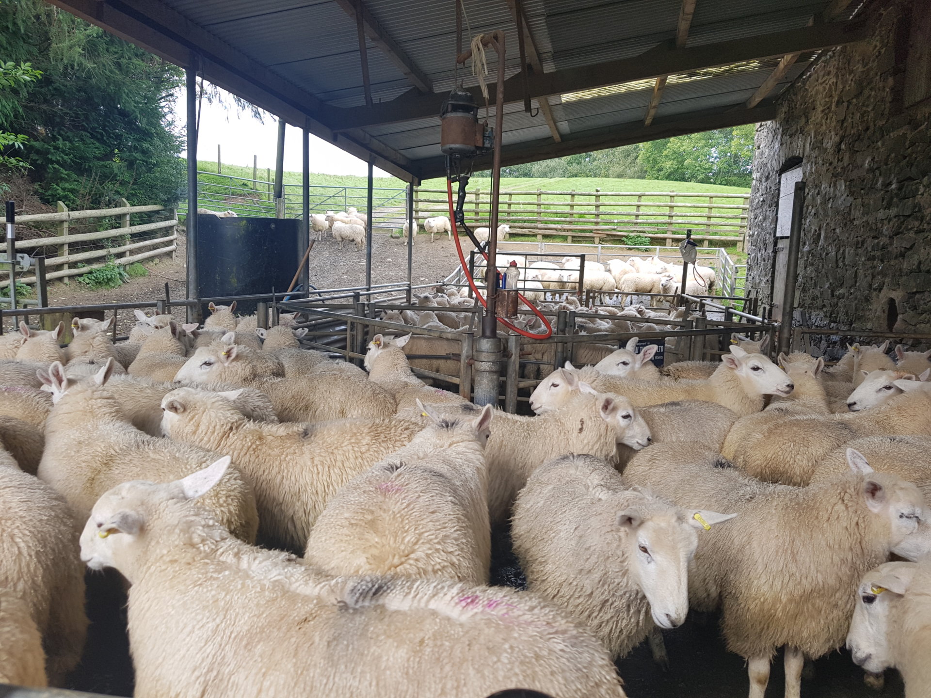Pentre Farm | The Farming Forum