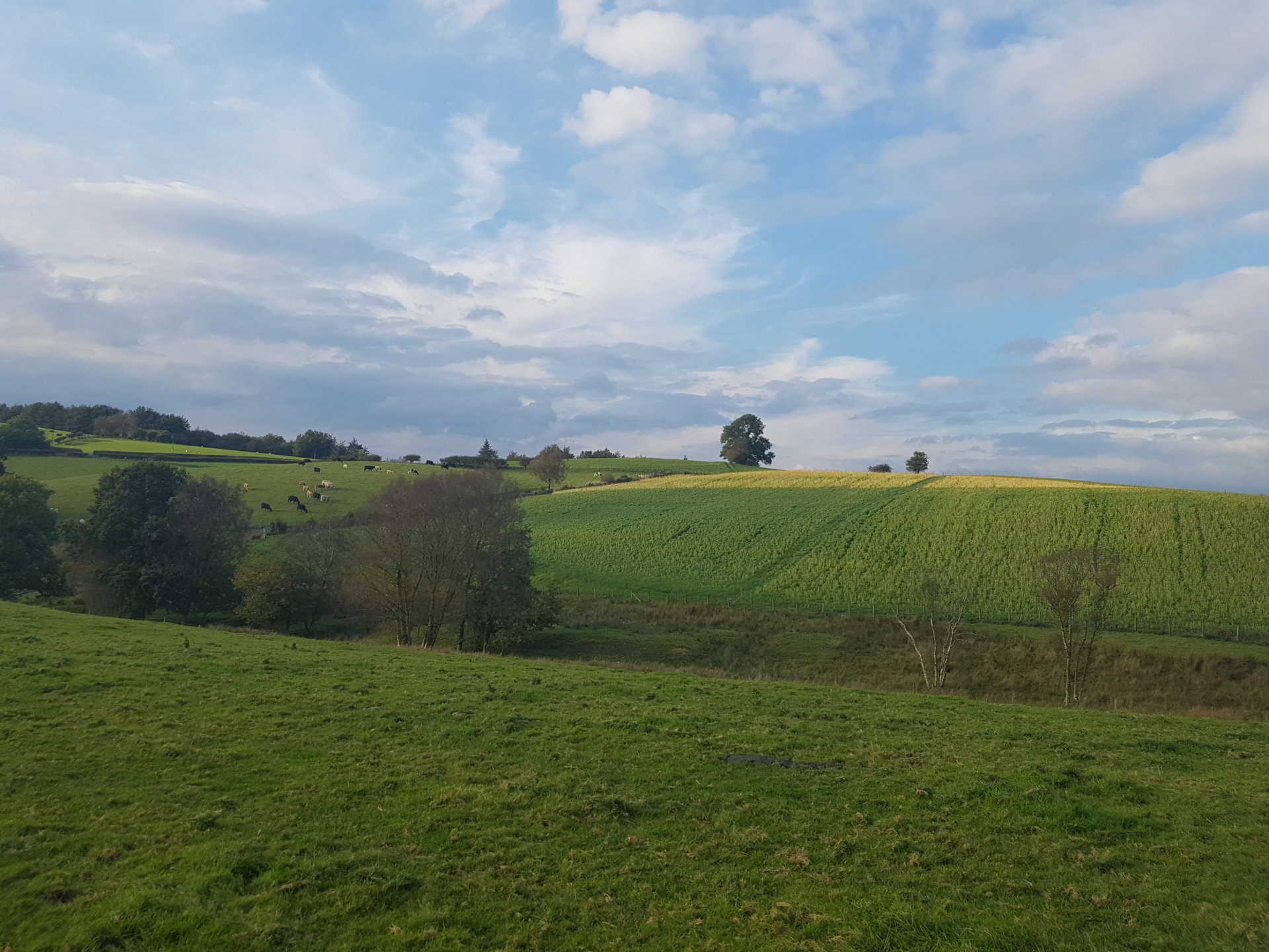 Pentre Farm | The Farming Forum