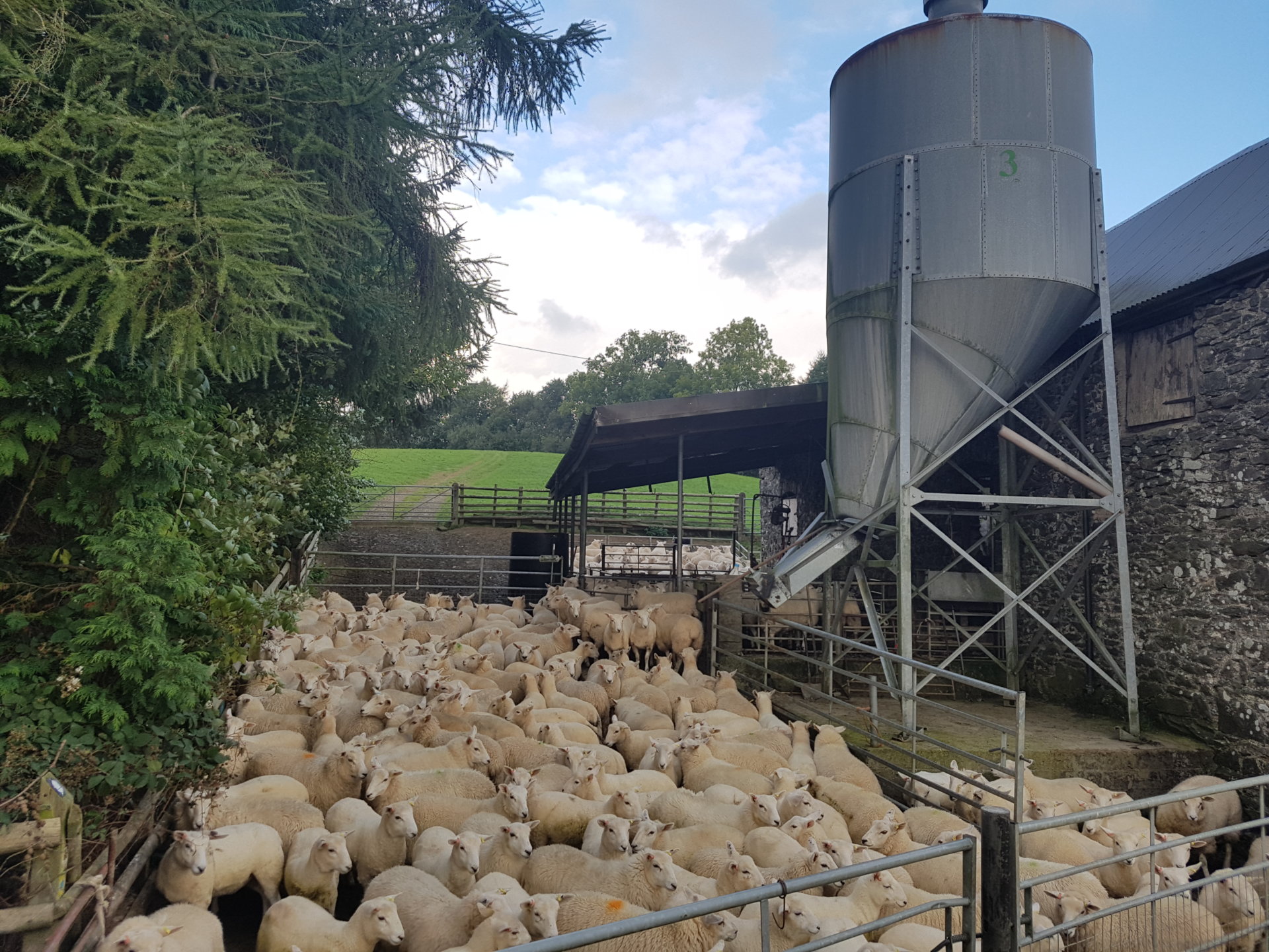 Pentre Farm | The Farming Forum