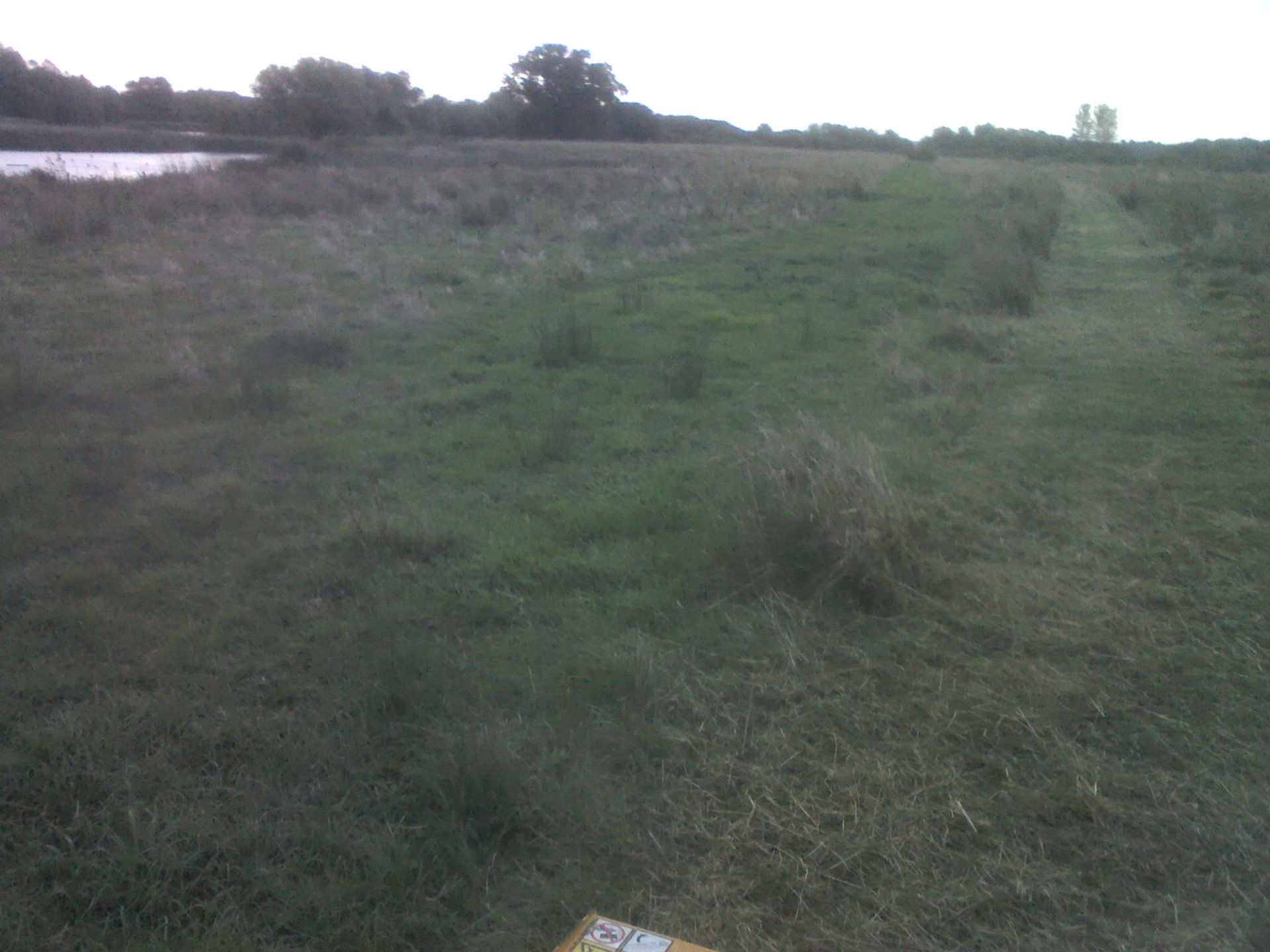 Late season pasture topping | The Farming Forum