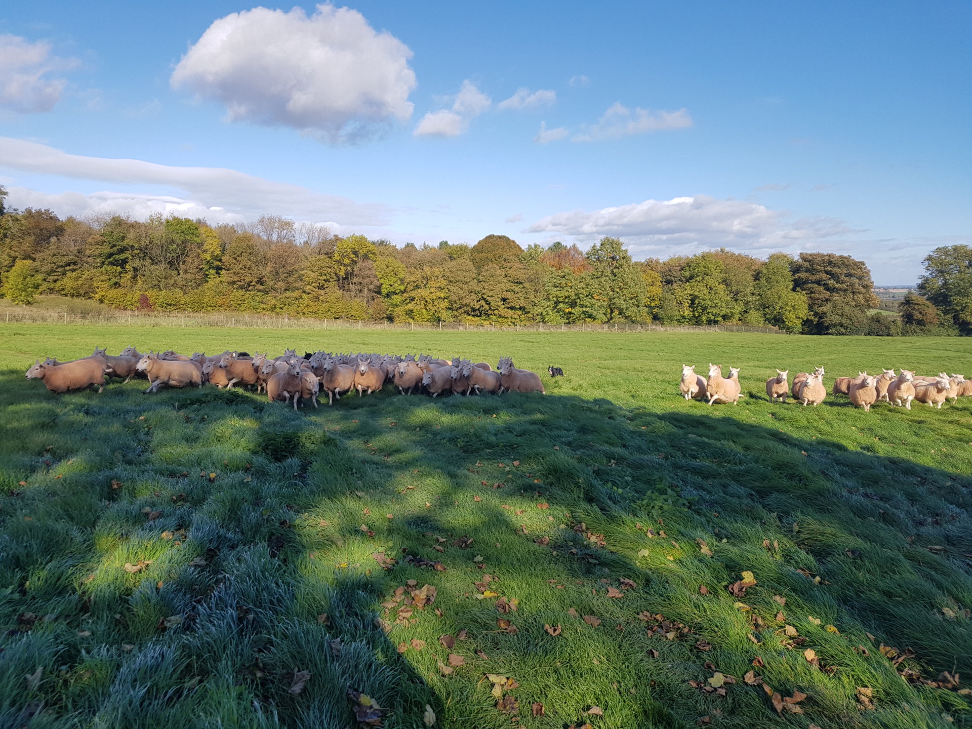 Pentre Farm | The Farming Forum