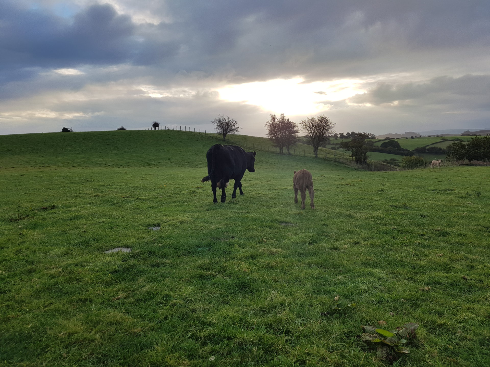Pentre Farm | The Farming Forum