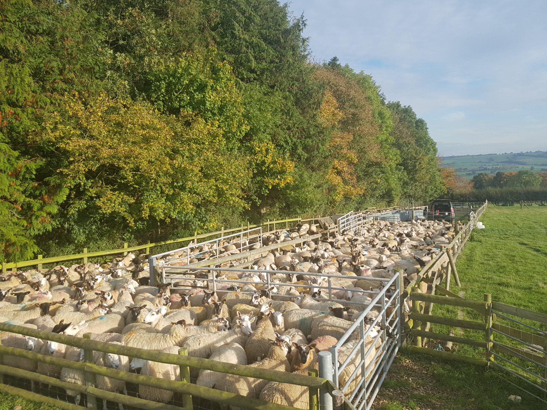 Pentre Farm | The Farming Forum