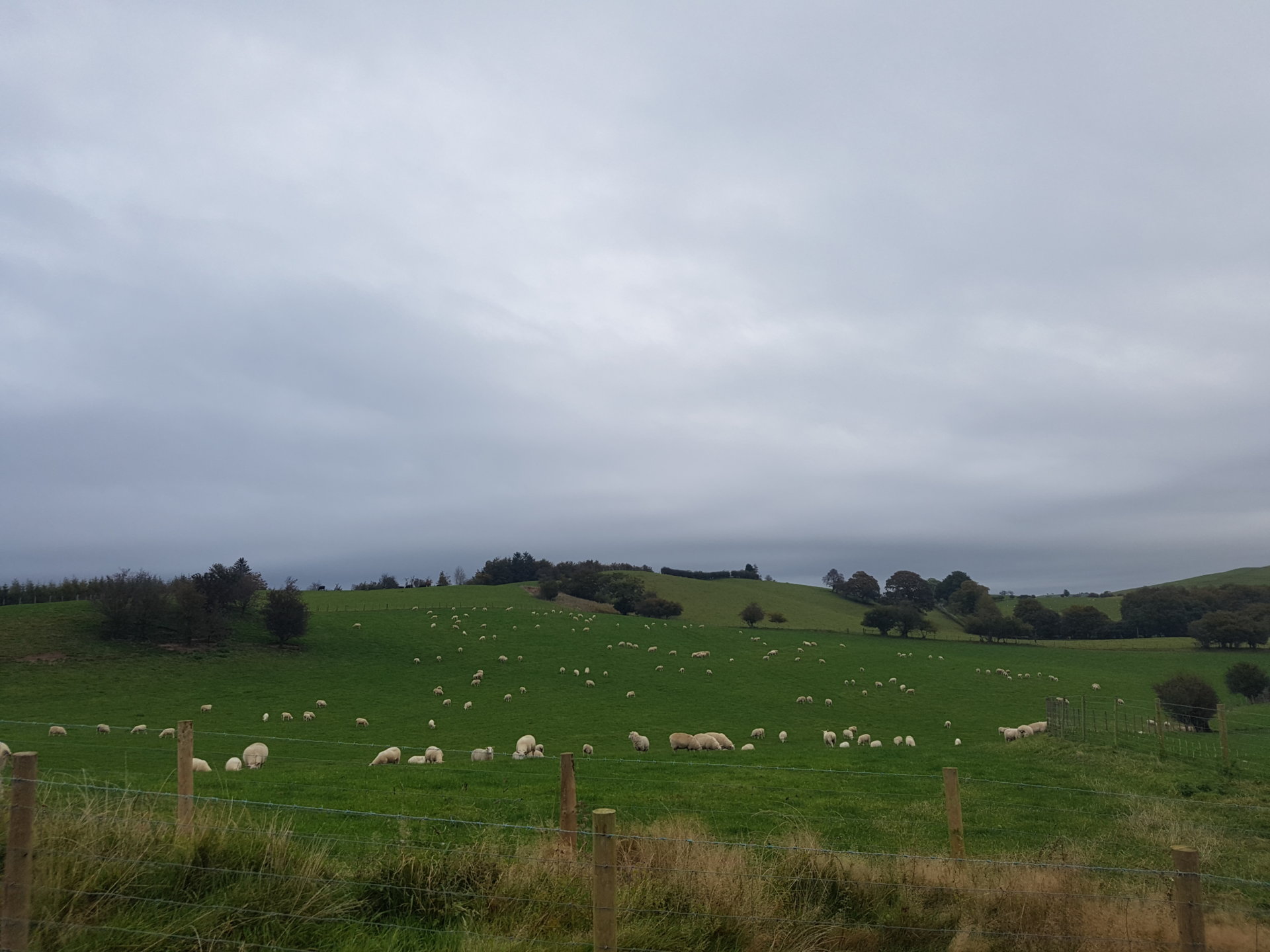 Pentre Farm | The Farming Forum