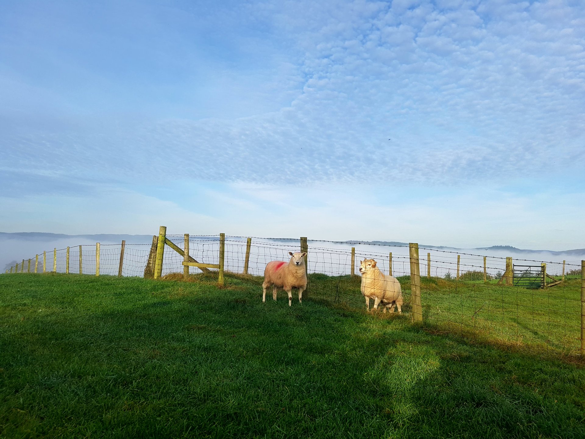 Pentre Farm | The Farming Forum
