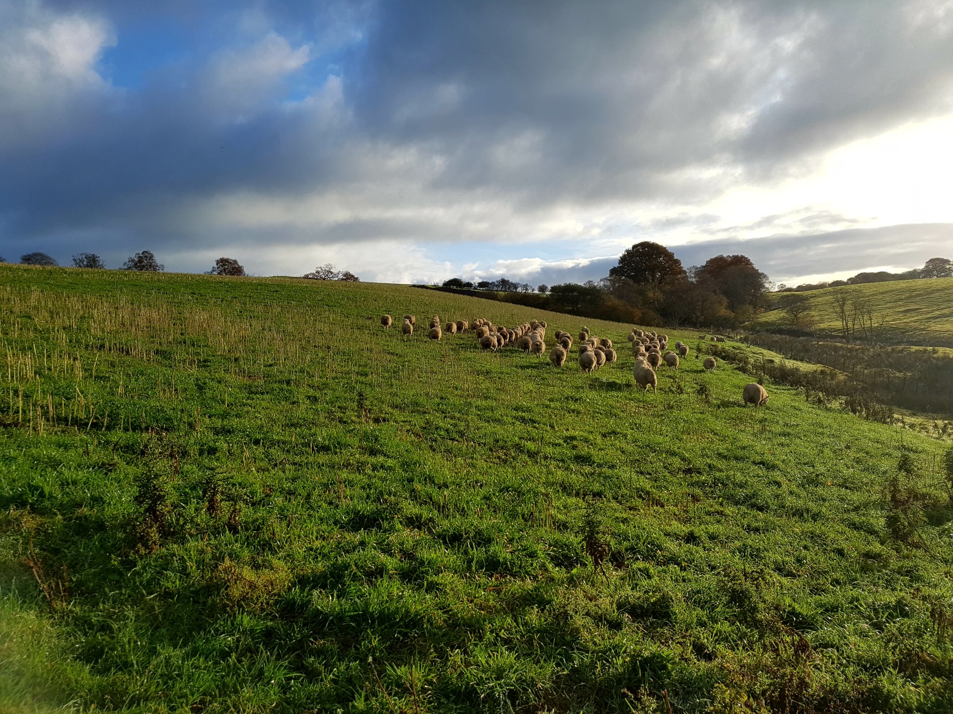 Pentre Farm | The Farming Forum