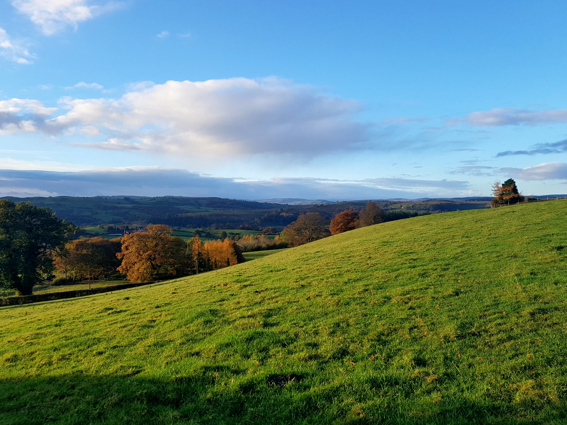 Pentre Farm | The Farming Forum