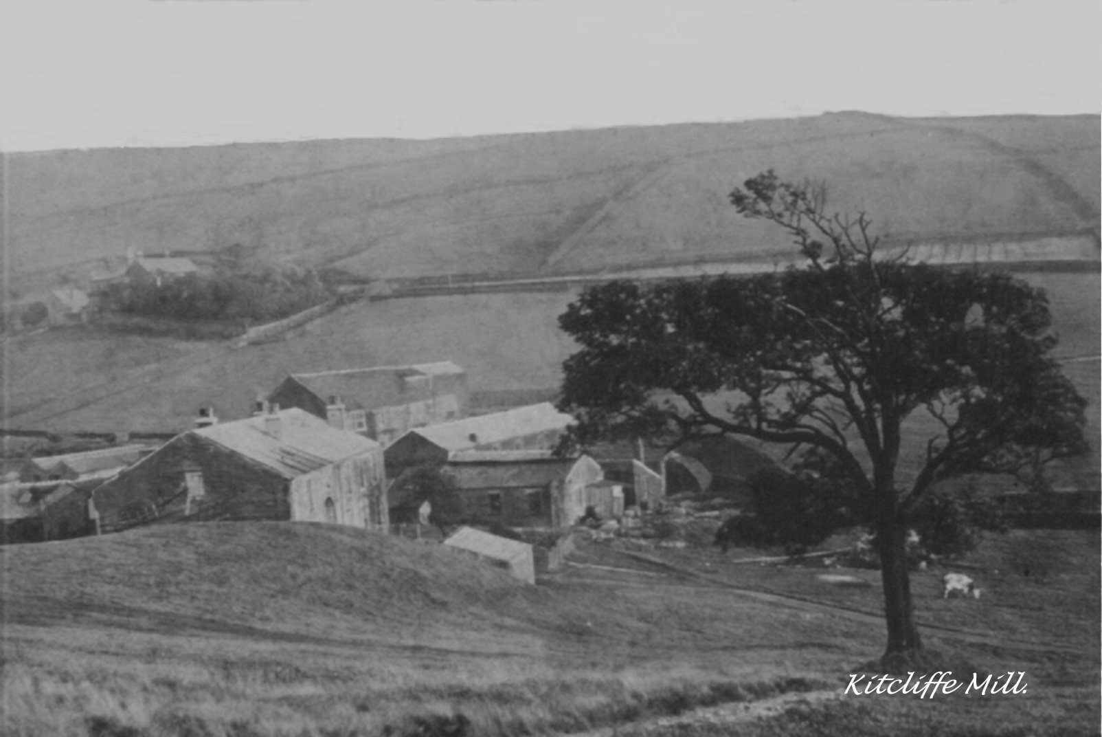 Farmland ruins | Page 5 | The Farming Forum