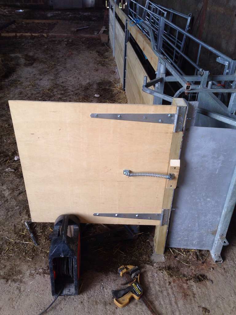 Shearing pen door spring | The Farming Forum