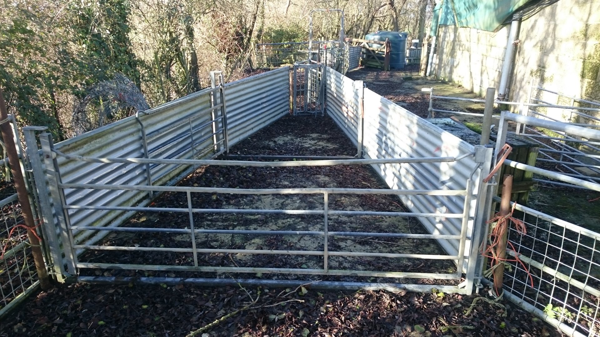 Flock dispersal | Page 4 | The Farming Forum