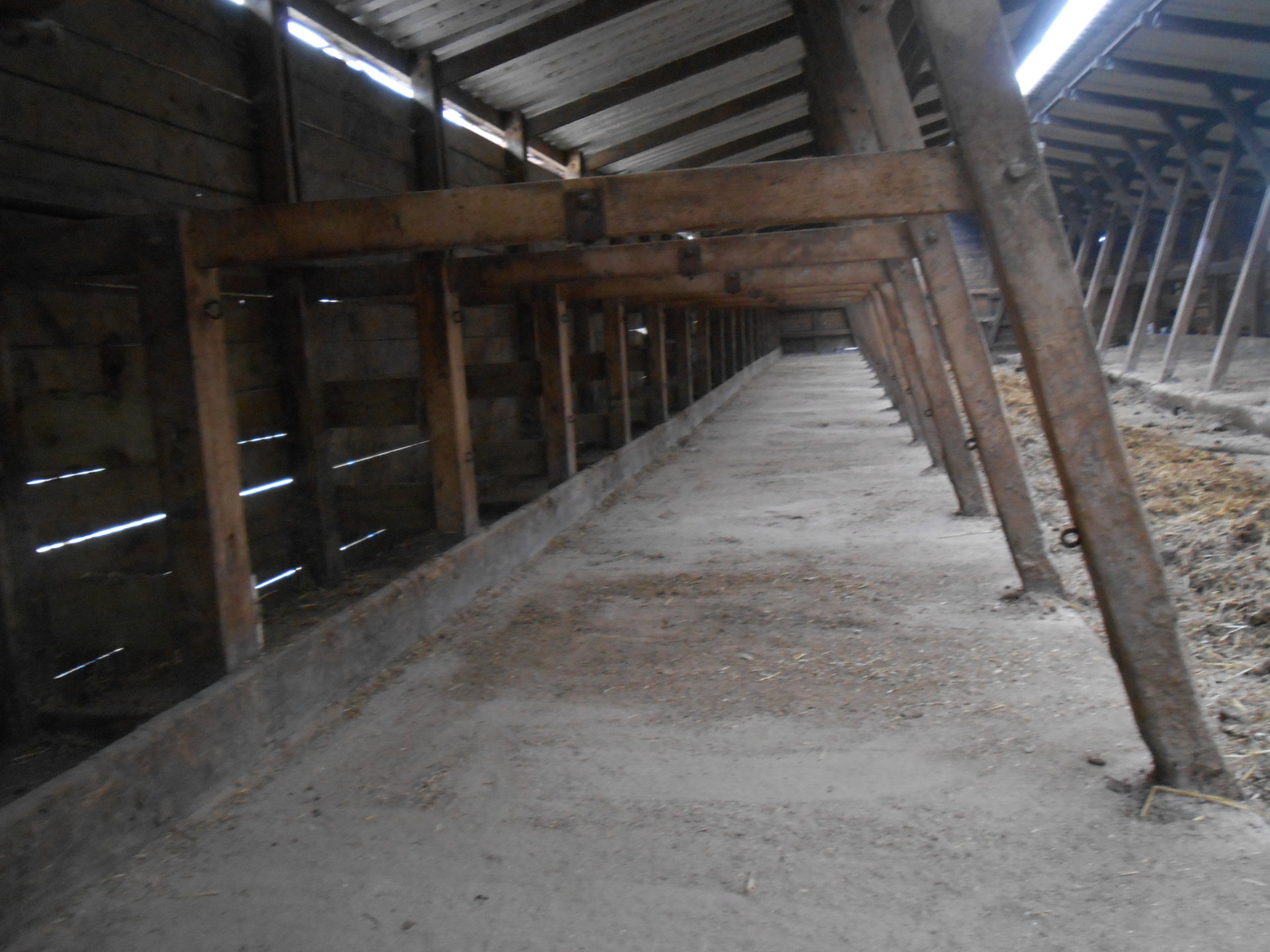 wooden cow kennels | The Farming Forum