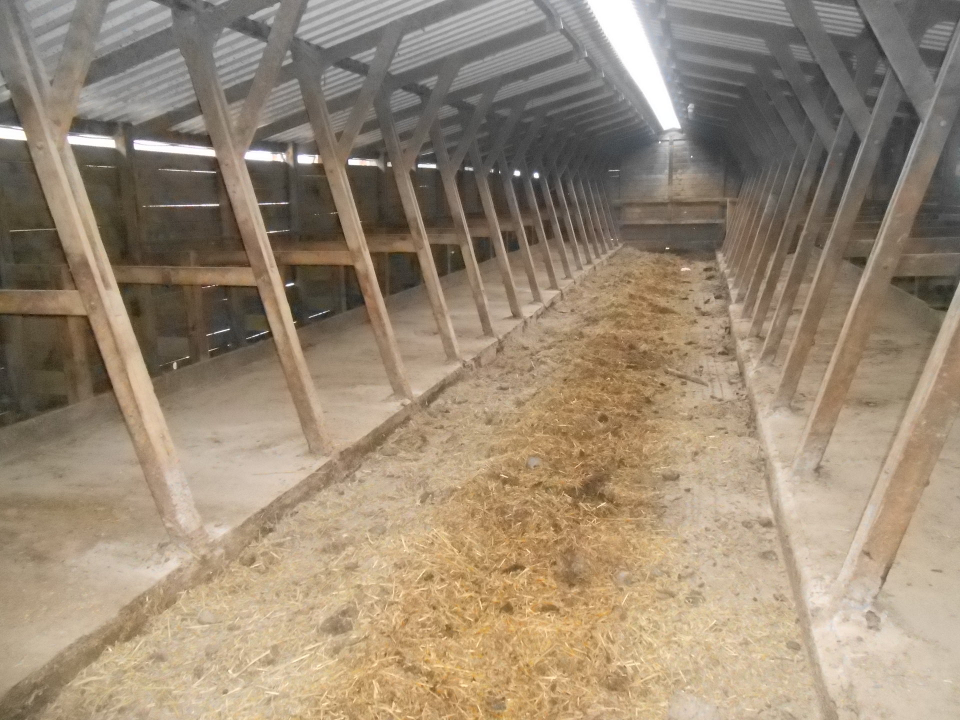 wooden cow kennels | The Farming Forum