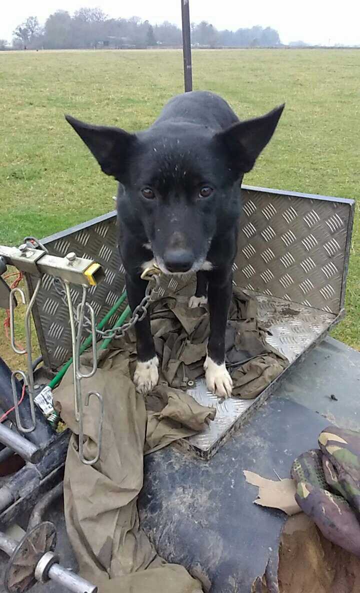 RAPPA system | Page 2 | The Farming Forum