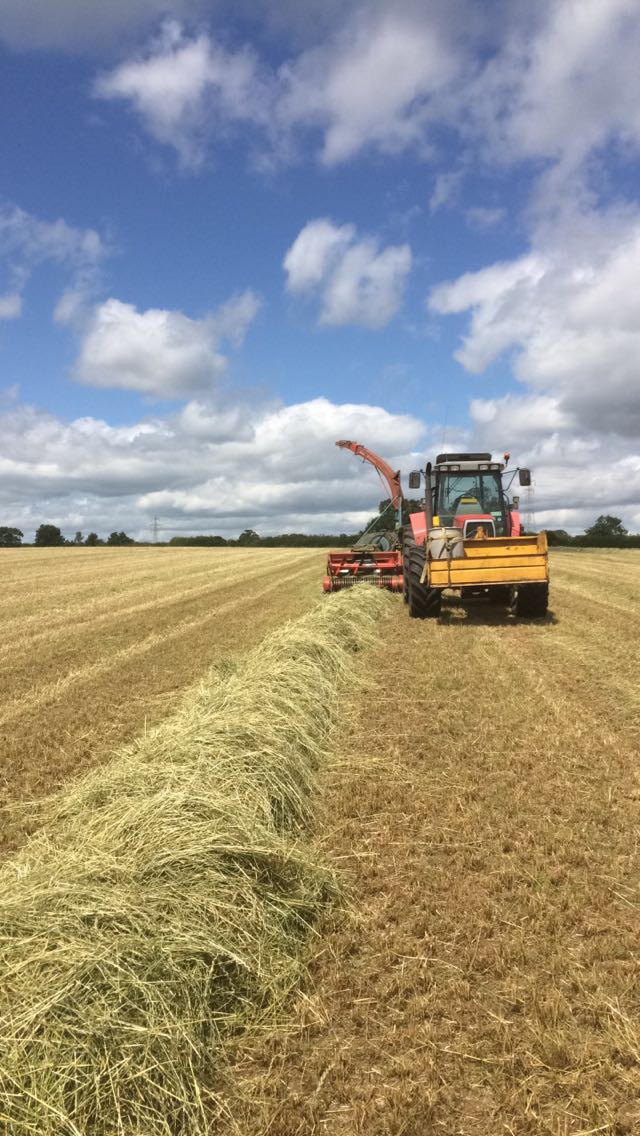 Drag chopper pictures | Page 2 | The Farming Forum