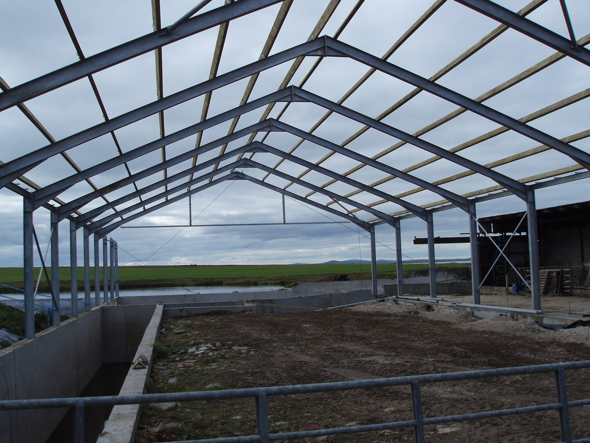 How big a slatted shed for 150 suckler cows? | Page 3 | The Farming Forum