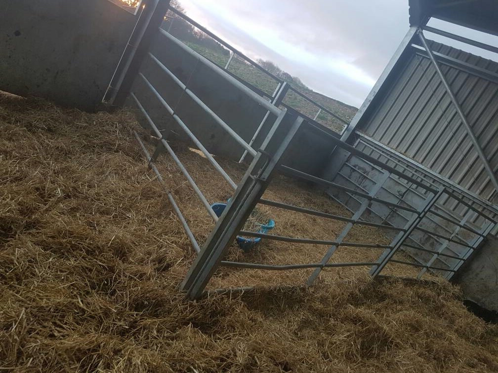 Calving pens. | The Farming Forum