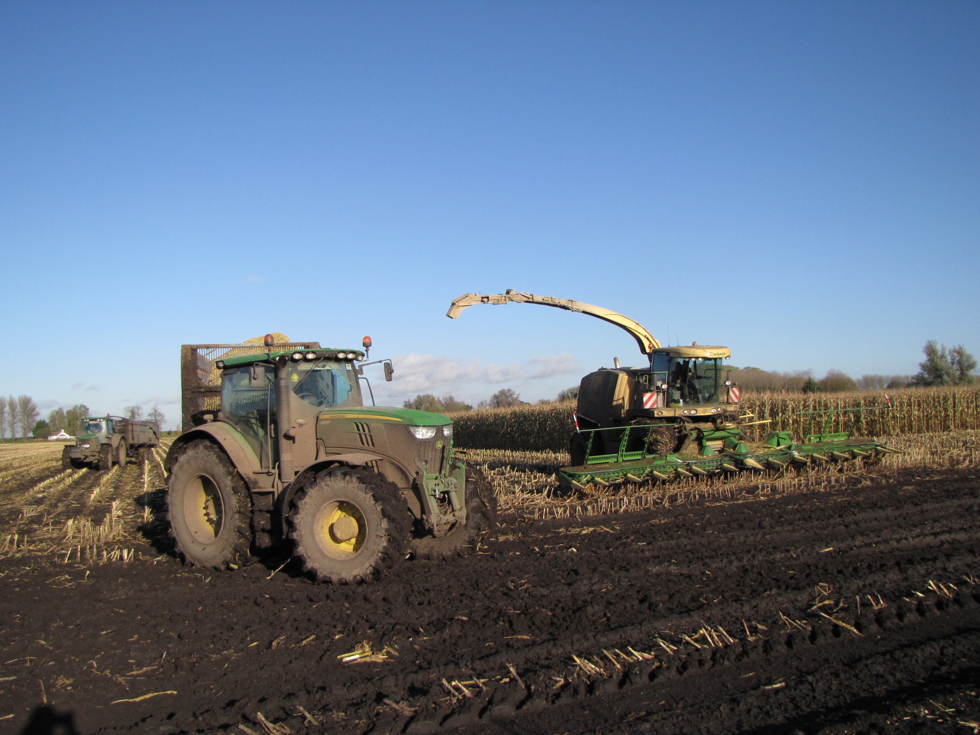 Maize drilling in the fens | The Farming Forum