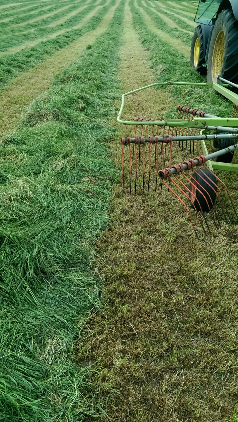 Small twin Rotor rakes. Kuhn or Fella ? | Page 3 | The Farming Forum