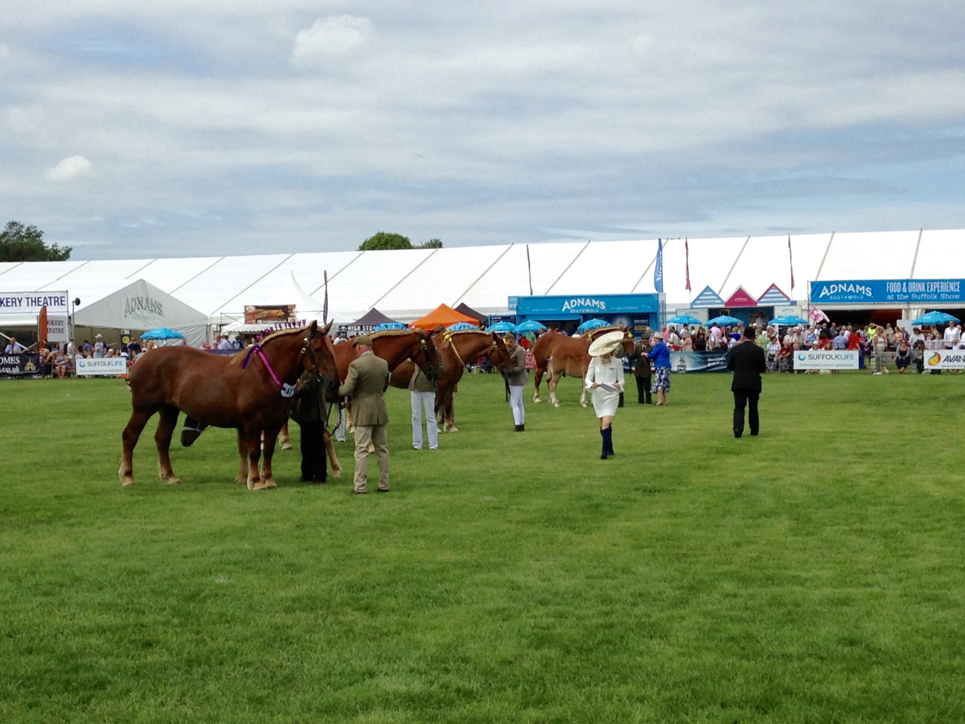 Suffolk Show 2017 | The Farming Forum