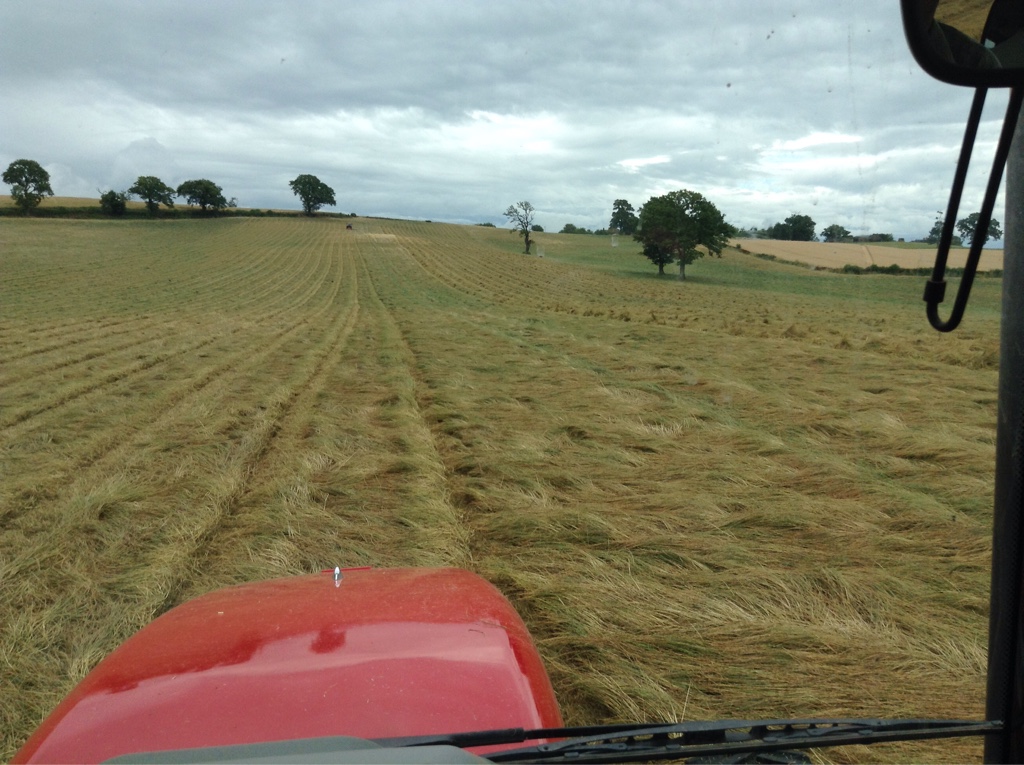 Growing and harvesting grass for seed | The Farming Forum