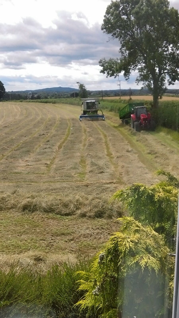 Growing and harvesting grass for seed | The Farming Forum