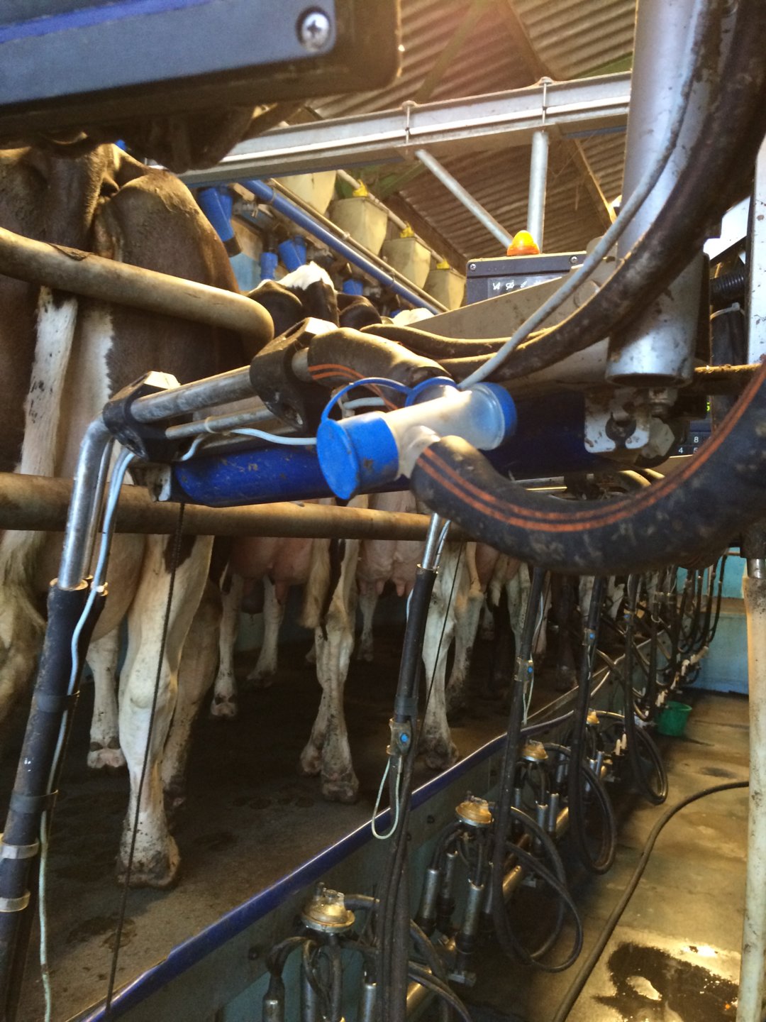 Ambic milk samplers | The Farming Forum