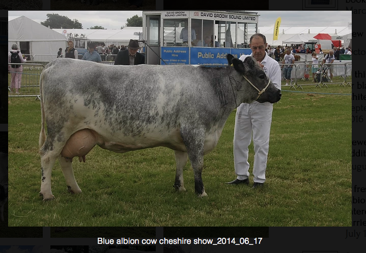 Livestock pictures | Page 147 | The Farming Forum