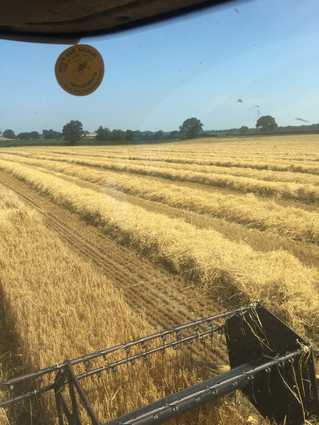 Oats straw value | Page 2 | The Farming Forum