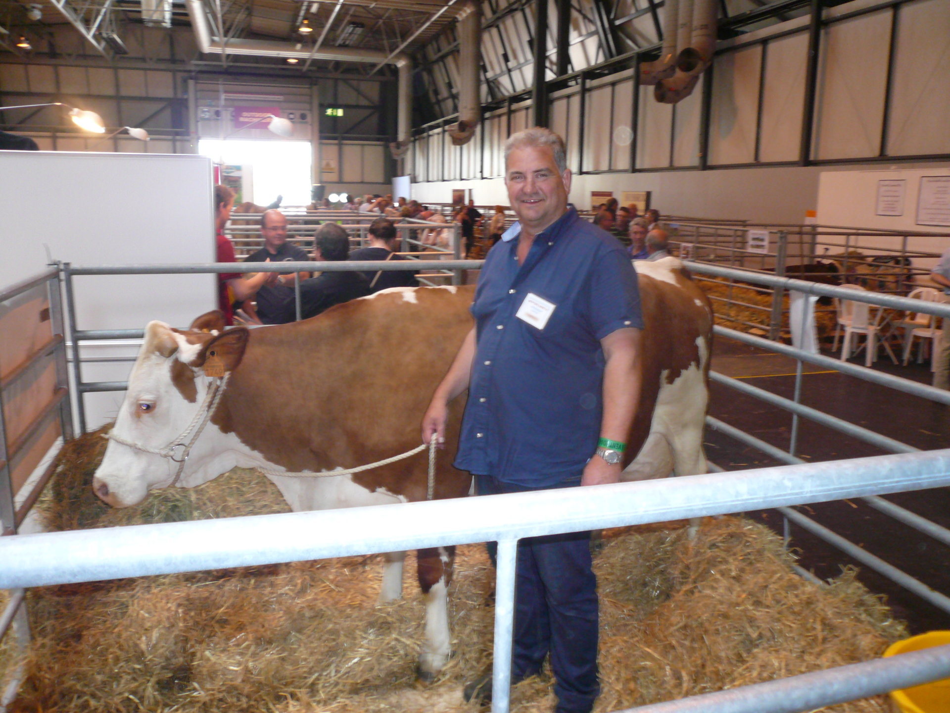 Livestock Event 2nd July 2014 - beef classes | The Farming Forum