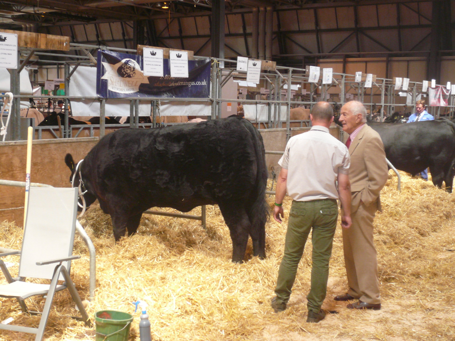 Livestock Event 2nd July 2014 - beef classes | The Farming Forum