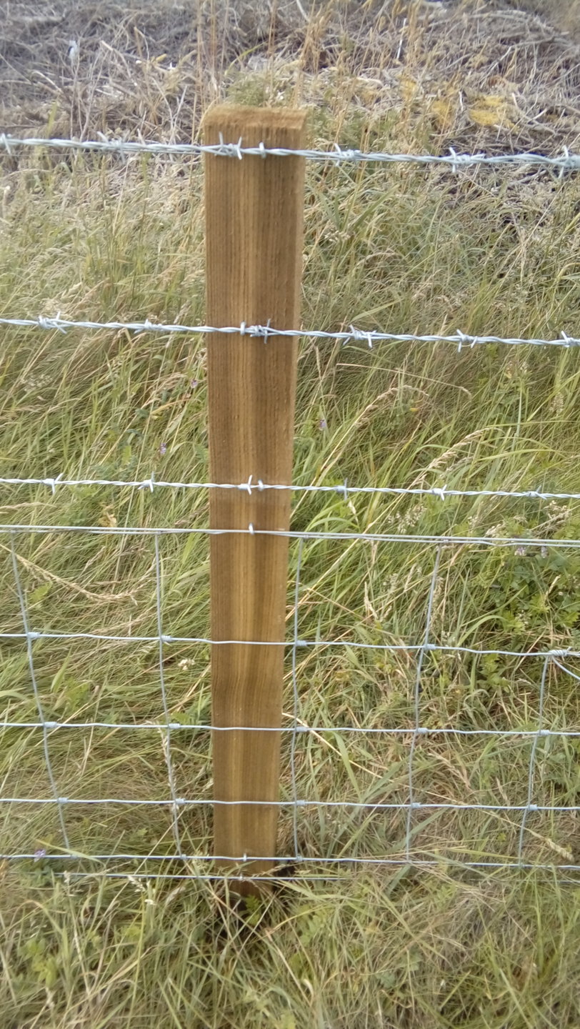 The Fencing Picture Thread | Page 45 | The Farming Forum