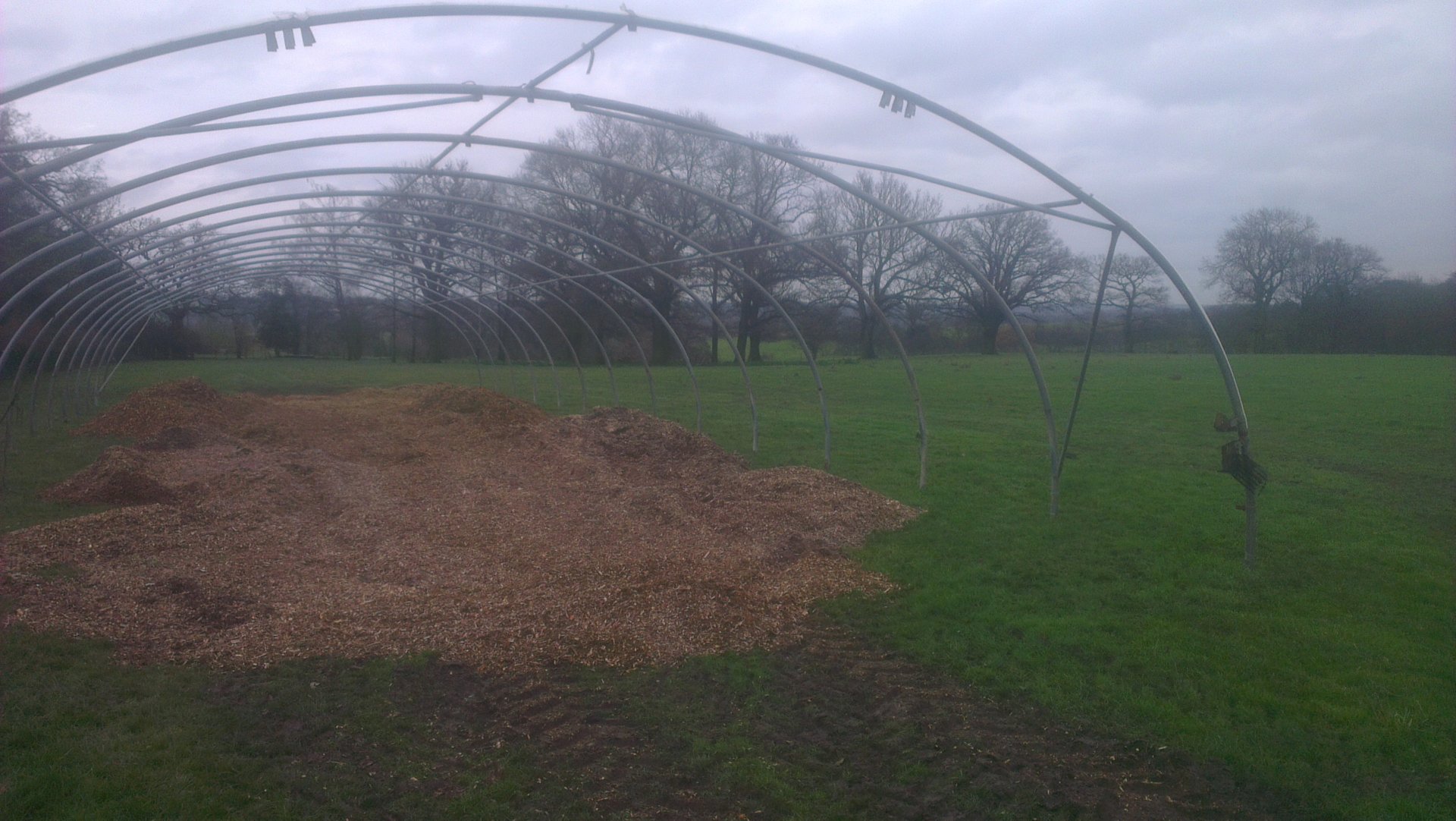Sheep polytunnels | The Farming Forum