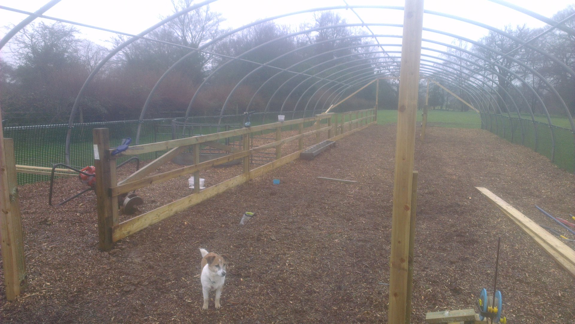 Sheep polytunnels | The Farming Forum
