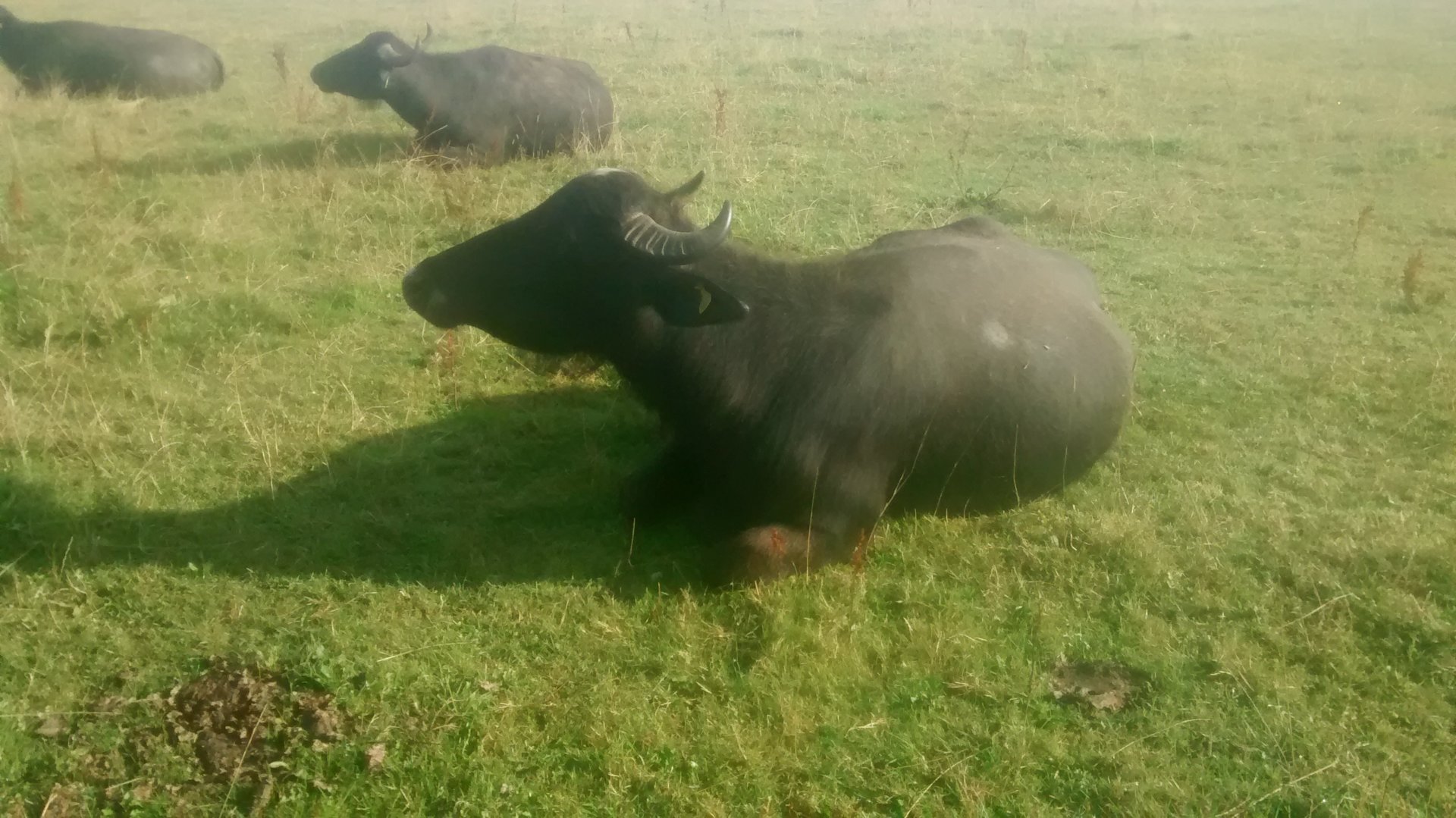 Today at work | Page 3881 | The Farming Forum