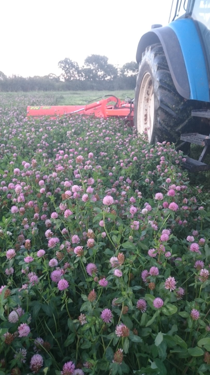 AB15 2 year legume fallow | Page 2 | The Farming Forum