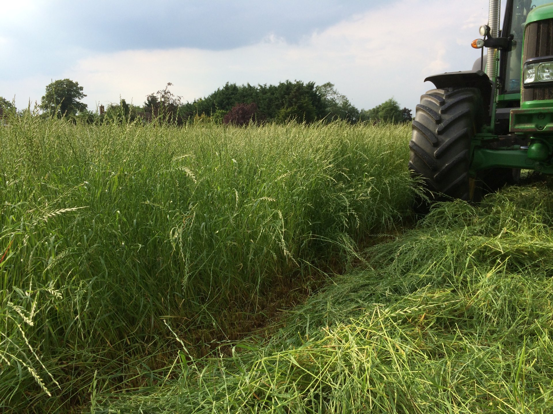 Westerwolds/ Italian ryegrass | Page 3 | The Farming Forum