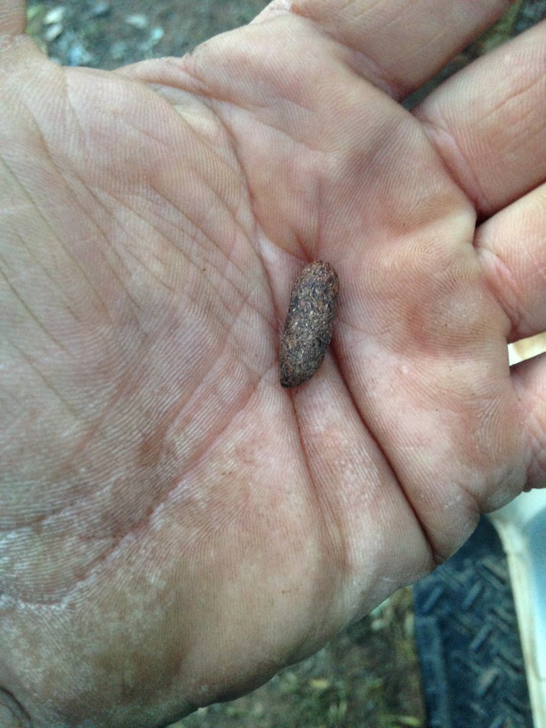 A Rant! | Page 4 | The Farming Forum