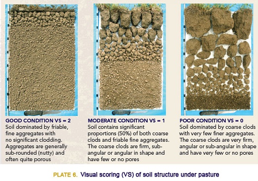 Soil structure | The Farming Forum